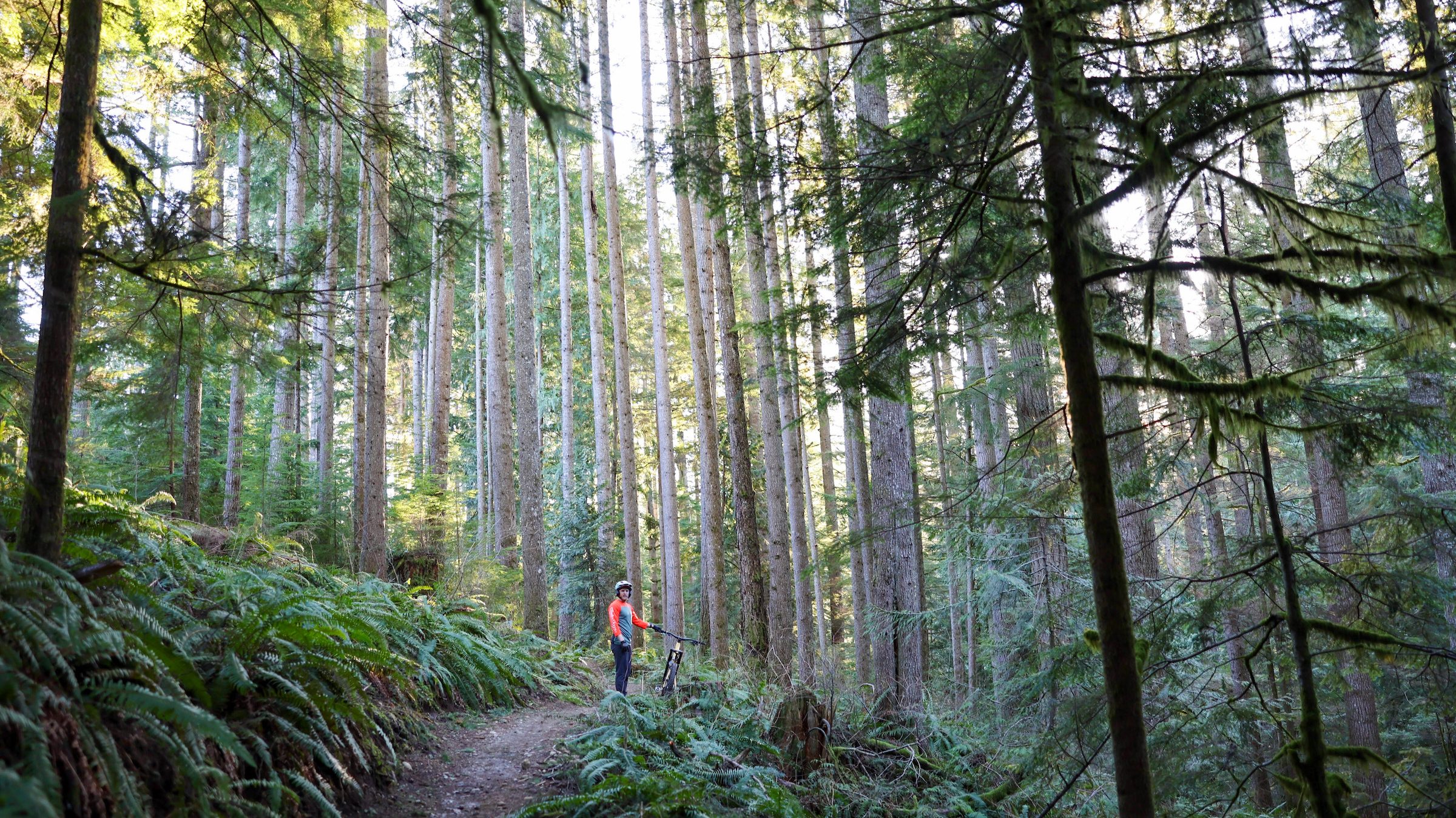 About Us | Cascade Gear Reviews